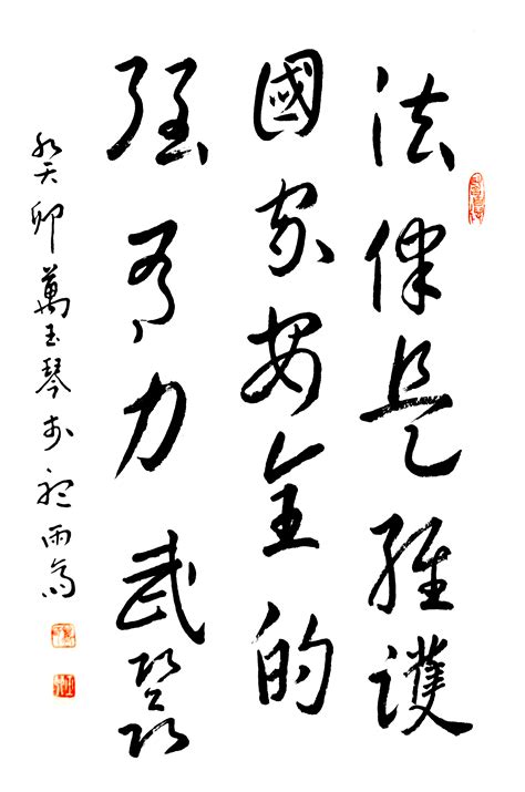 法律是维护国家安全的强有力武器