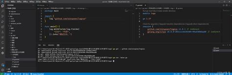 使用go111module解决go导包难下包难问题 Go如何导包下载包？go包报错如何解决go Env W Go111module
