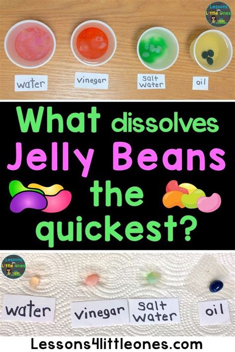 Jelly Bean Science Experiment Artofit