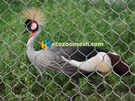 Stainless Steel Bird Netting Supplier Bird Cage Netting