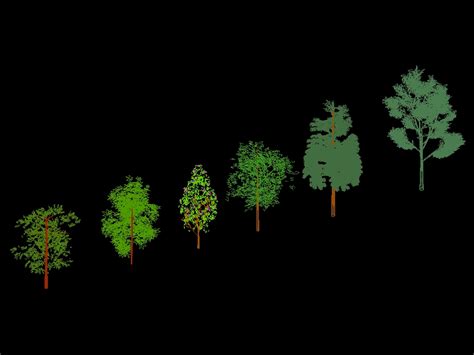 3d Trees In Autocad Download Cad Free 4 64 Mb Bibliocad