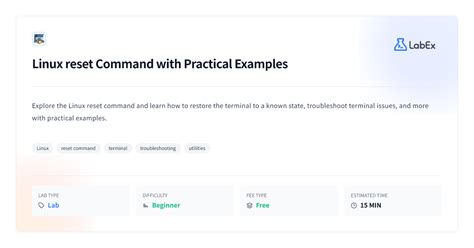 linux reset command with practical examples labex