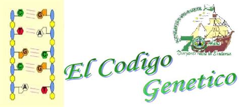 El Codigo Genetico Concepto De Codigo Genetico