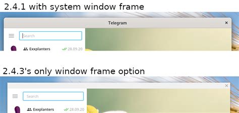 Option To Switch System Window Frame On Linux Has Disappeared · Issue