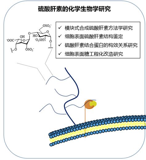 Welcome To The Zong Group 海南大学 糖类小分子药物以及多糖疫苗研究创新团队