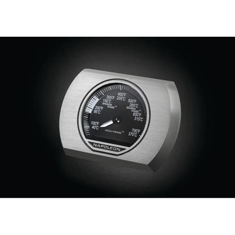 Napoleon Rogue XT Negra Con Quemador Lateral Infrarrojo