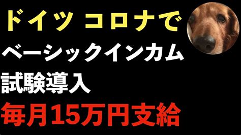 ドイツベーシックインカム導入実験！各国コロナの影響でベーシックインカムの議論が活性化！ベーシックインカムのメリットやデメリットとは