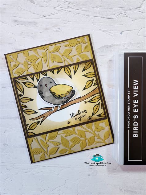 Stampin Up Birds Eye View Card Design