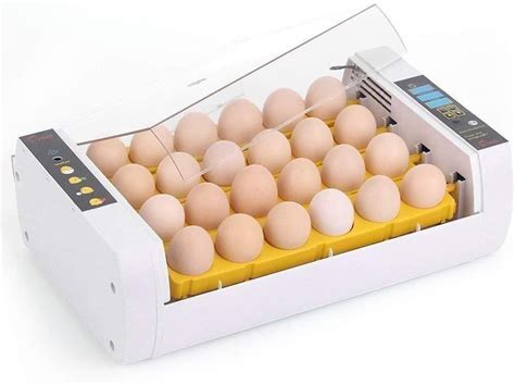 24 Eier Brutmaschine Brutkaste Inkubator Kaufen Auf Ricardo
