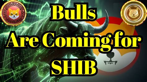 Altcoin Today Shiba Inu Lead Cryptic Response Suggests Bulls Are