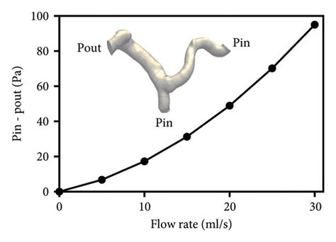 Example Of Portal Vein Segmentation And Flow Resistance Calculation
