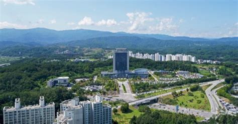 강릉시 시유지 무단 점유지 찾는다