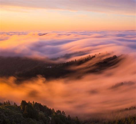 Stunning Fog Waves Rolling Over Landscapes Moss And Fog