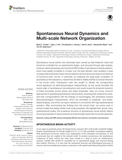 Pdf Spontaneous Neural Dynamics And Multi Scale Network Organization
