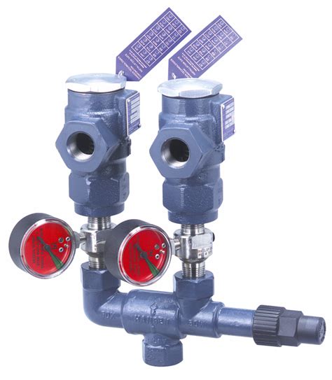 Rupture Disc Assemblies Gauges And Pressure Switches