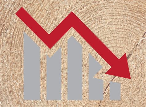 Marked Decrease In Softwood Log Imports