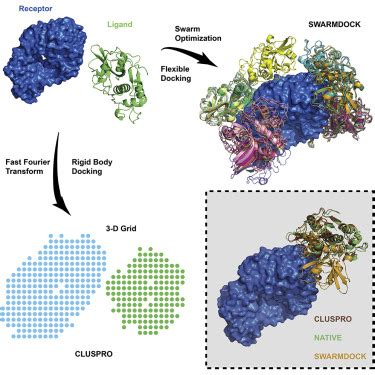 Molecular Docking Services BioCode