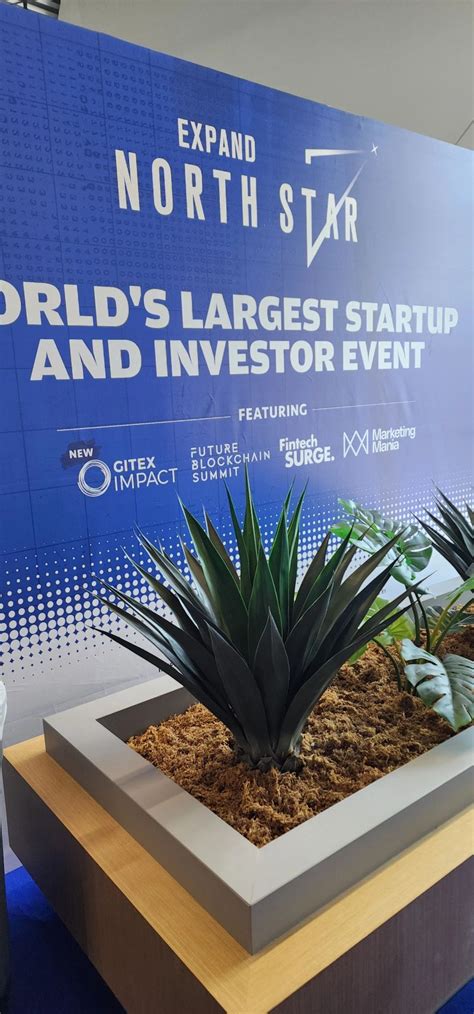 Dxtalks On Linkedin Gitex Expandnorthstar Fbs Futureblockchainsummit Fintechsurge