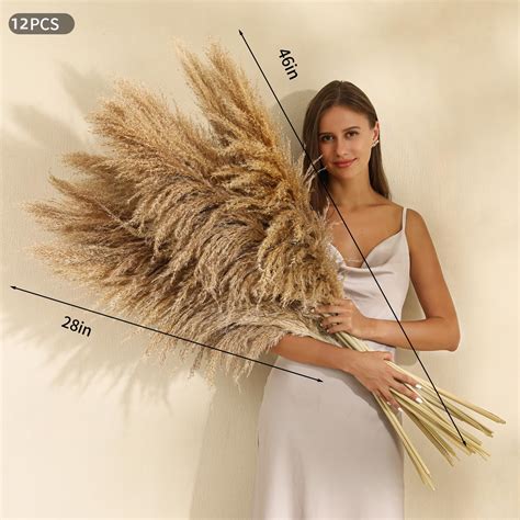 Wertuirk 12 Stems 46 Inch Tall Pampas Grass Decor