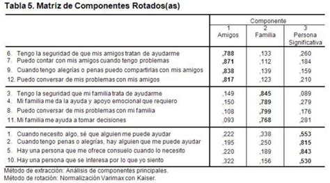 Miserable Sympton Pantano Apoyo Social Percibido Y Recibido Tomar