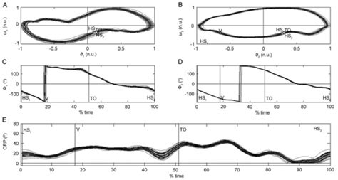 Example Of Crp Calculation28 The Normalized Phase Plots Angular