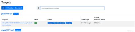 性能测试 prometheus监控java应用 prometheu 远程java csdn博客