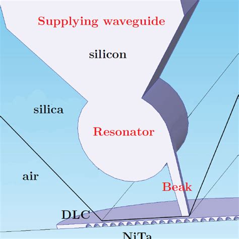 Rectangular Supplying Waveguide Disk Resonator And Beak Of The Near