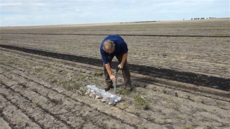 Soil Sampling Explained Soil Quality Knowledge Base