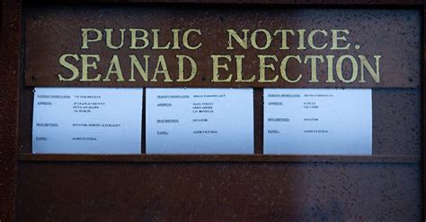 Graduate S Challenge To Seanad Voting System Rejected The Irish Times