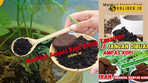 Temukan Manfaat Ampas Kopi Untuk Tanaman Yang Jarang Diketahui Solider