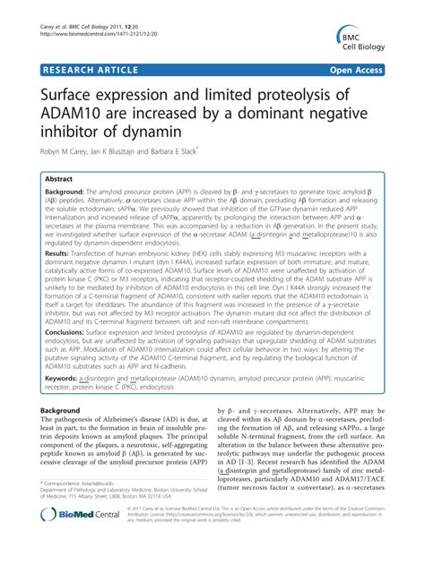 Pdf Surface Expression And Limited Proteolysis Of Adam10 Are