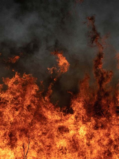 Incendios En Corrientes Según Alok Sharma Infobae Stories
