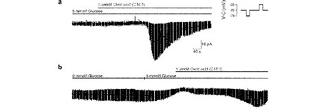 A B Effects Of Oleic Acid On Whole Cell K Atp Currents Human