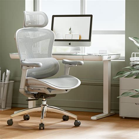 Sihoo Ergonomic Ofiice Chair Auto Adaptive Lumbar Support D Linkage
