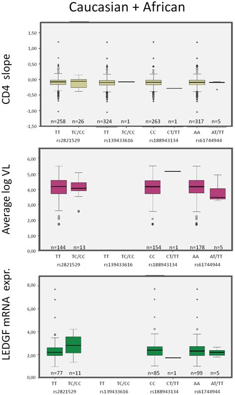 Phenotypic Impact Of Observed Genetic Variants In The Psip1 Coding