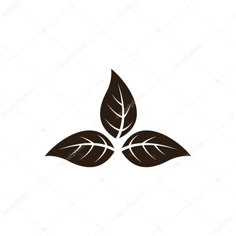Tobacco Leaves Flowers ⬇ Vector Image By © Mizlatic Vector Stock