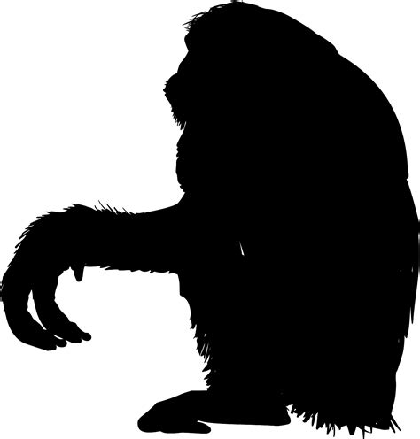 Lufengpithecus Wushanensis By T Michael Keesey Cc0 10 Phylopic