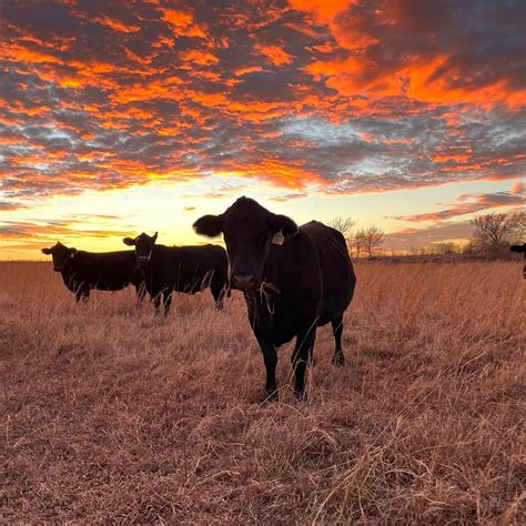 Owasso Baseball Owasso Baseball Added A New Photo
