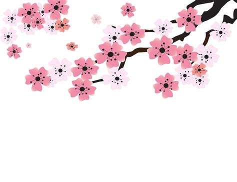 벚꽃 가지와 흰색 배경 벡터 일러스트 레이 션 사쿠라 일본어에 떨어지는 꽃잎 프리미엄 벡터