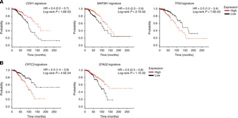 An Integrative Bioinformatics Approach Reveals Coding And Non Coding Gene Variants Associated