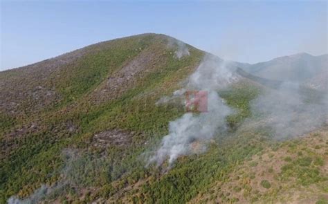 ЦУК Изгаснати 27 пожари четири се уште активни Biznisvesti Mk