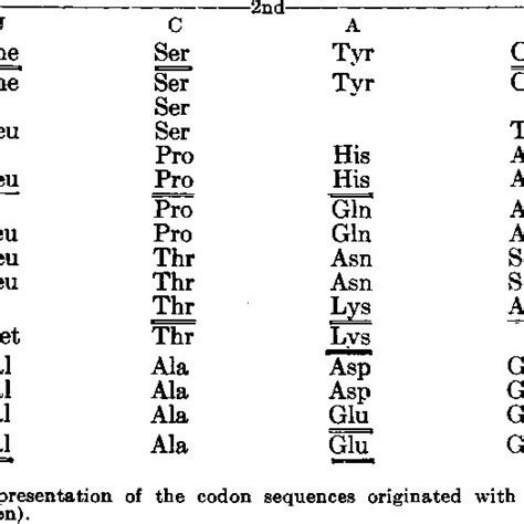 Codon Assignments From Polypeptide Synthesis And Or Stimulation Of