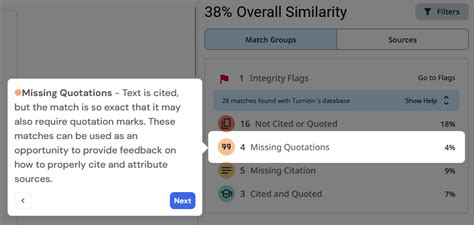 Turnitin Guides In English