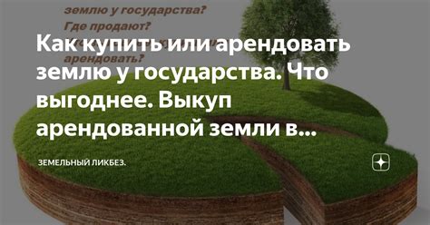 Как купить или арендовать землю у государства Что выгоднее Выкуп