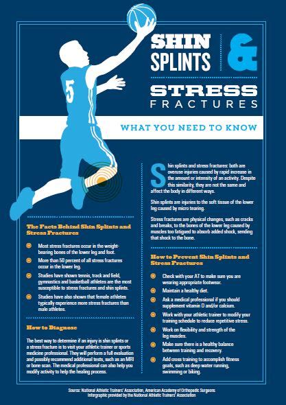 Celebrating Athletic Trainers Shin Splints And Stress Fractures The