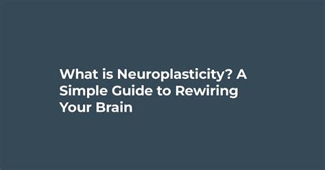 What Is Neuroplasticity A Simple Guide To Rewiring Your Brain