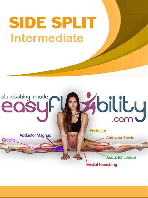 What S My Flexibility Level EasyFlexibility