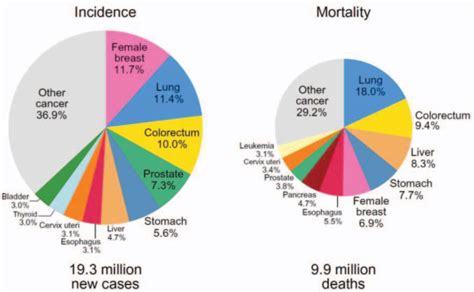 Figure 1 From A Genetic Programming Approach To Automatically Construct Informative Attributes