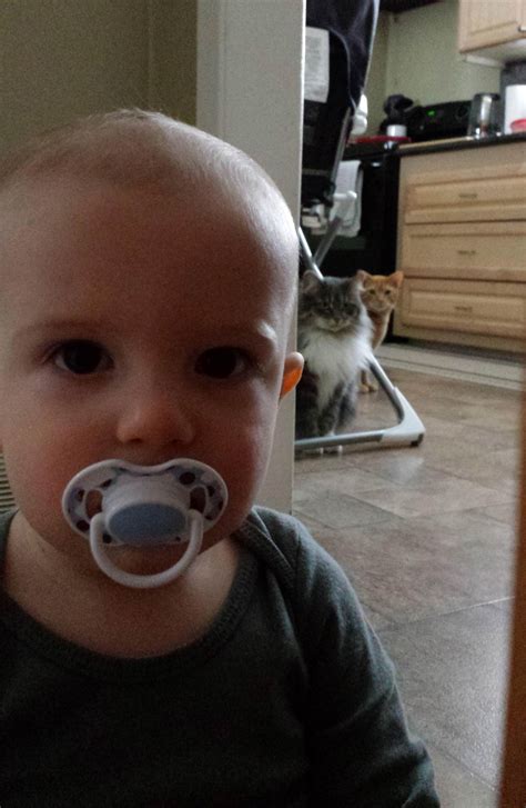 Theyre Plotting Something Odd Stuff Magazine