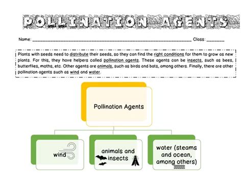 Pollination Agents Summary Profe Social